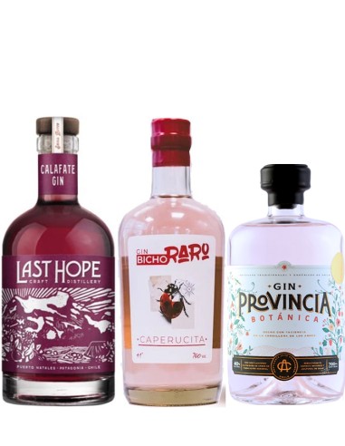 Pack Gin Colores
