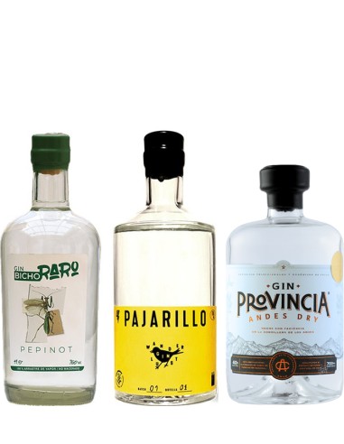Pack Gin Santiago